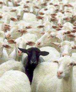 The Animal Apocalypse, Part 2 – 1 Enoch 85-90 - Reading Acts