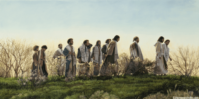 The Son of Man has Nowhere to Lay His Head - Matthew 8:18-20 - Reading Acts